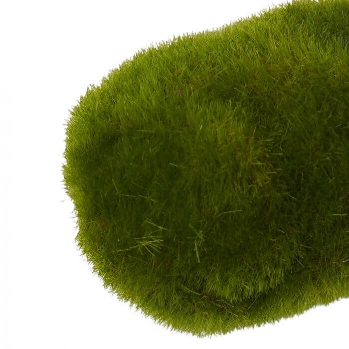 Artificial Marimo Moss Pebble | SML - CLU Living Pty Ltd