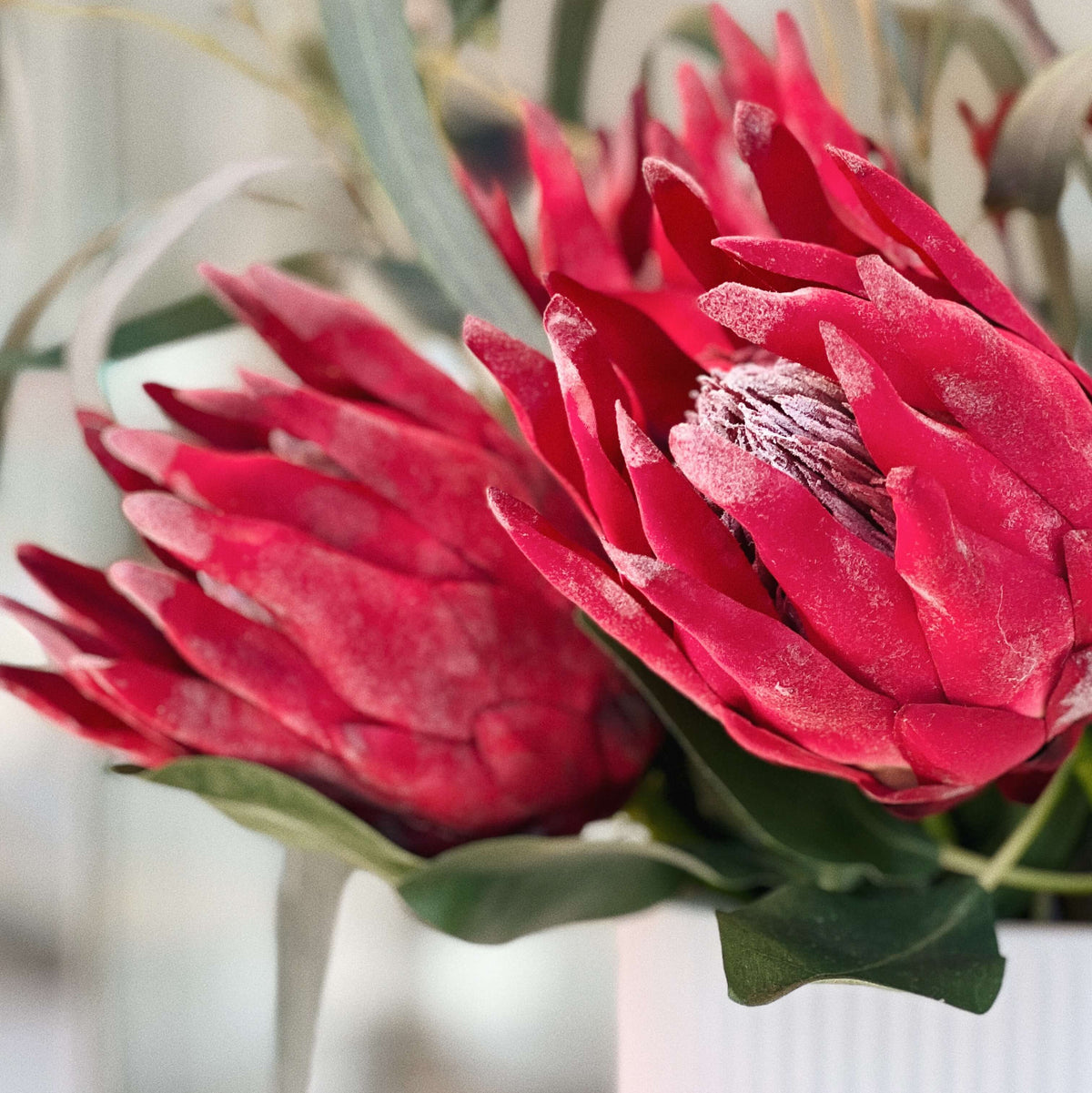 Artificial Protea King Stem - CLU Living Pty Ltd